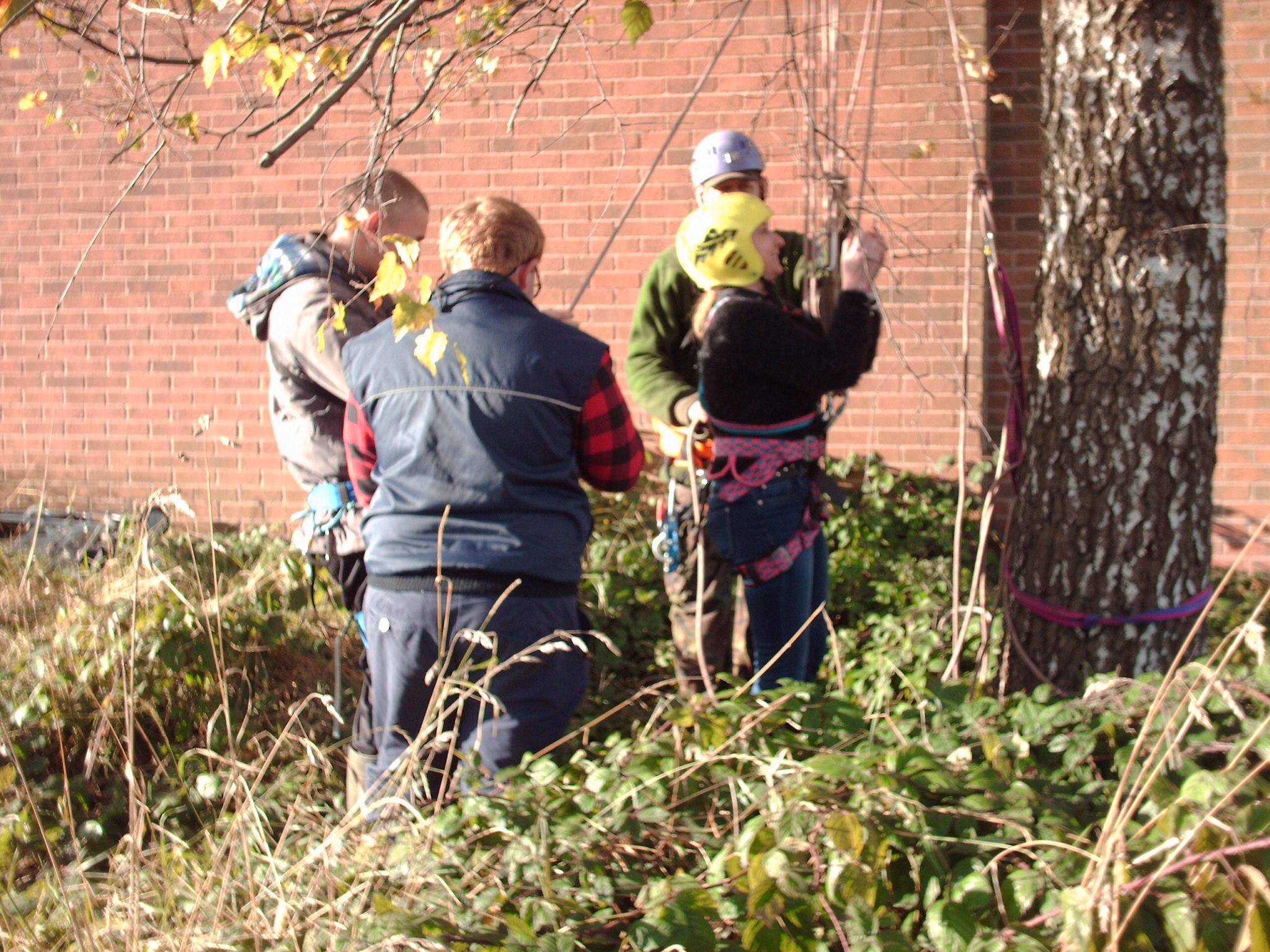 Services - Reach Housing and Enablement